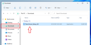 Como instalar o TeamViewer no Windows 11 - Conectando Net