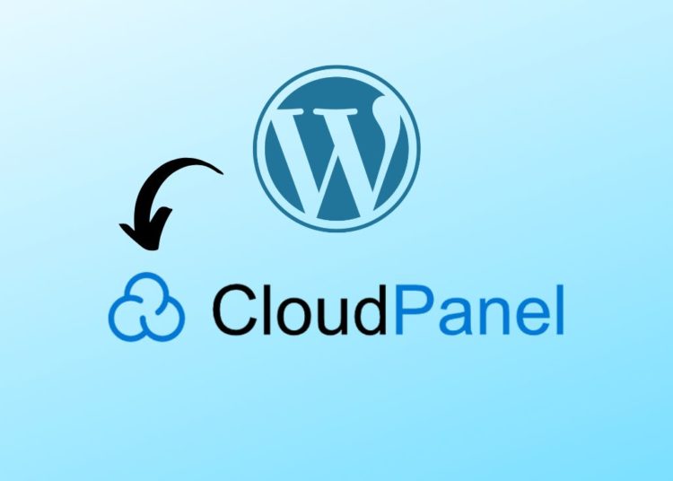 Como instalar o WordPress na Hostinger | Conectando Net