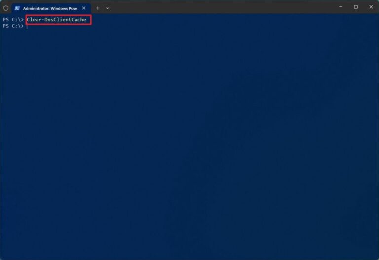 Como limpar o cache DNS no Windows 11 - Conectando Net
