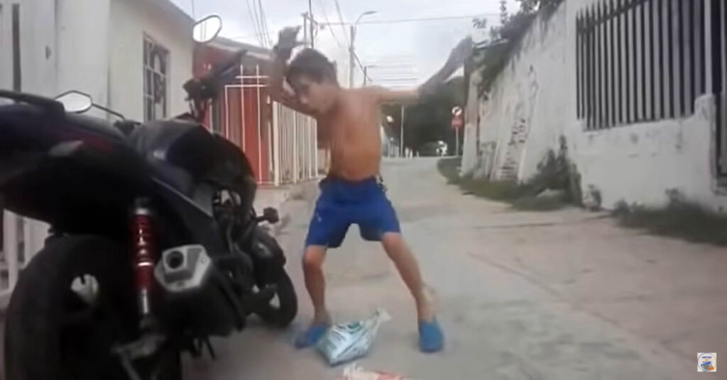 Acorda, Carlo! – Animação que leva a sério a cultura brasileira ...